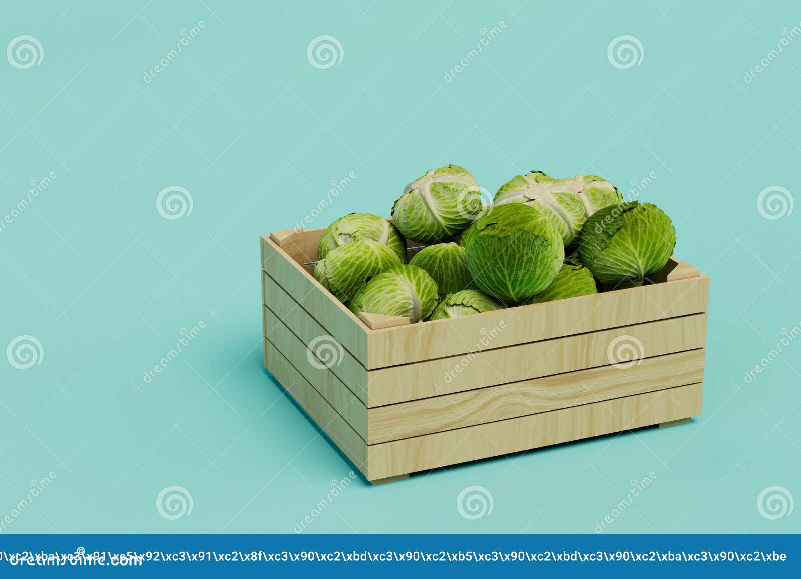 A Wooden Box with a Large Hard-boiled Cabbage on a Turquoise Background ...