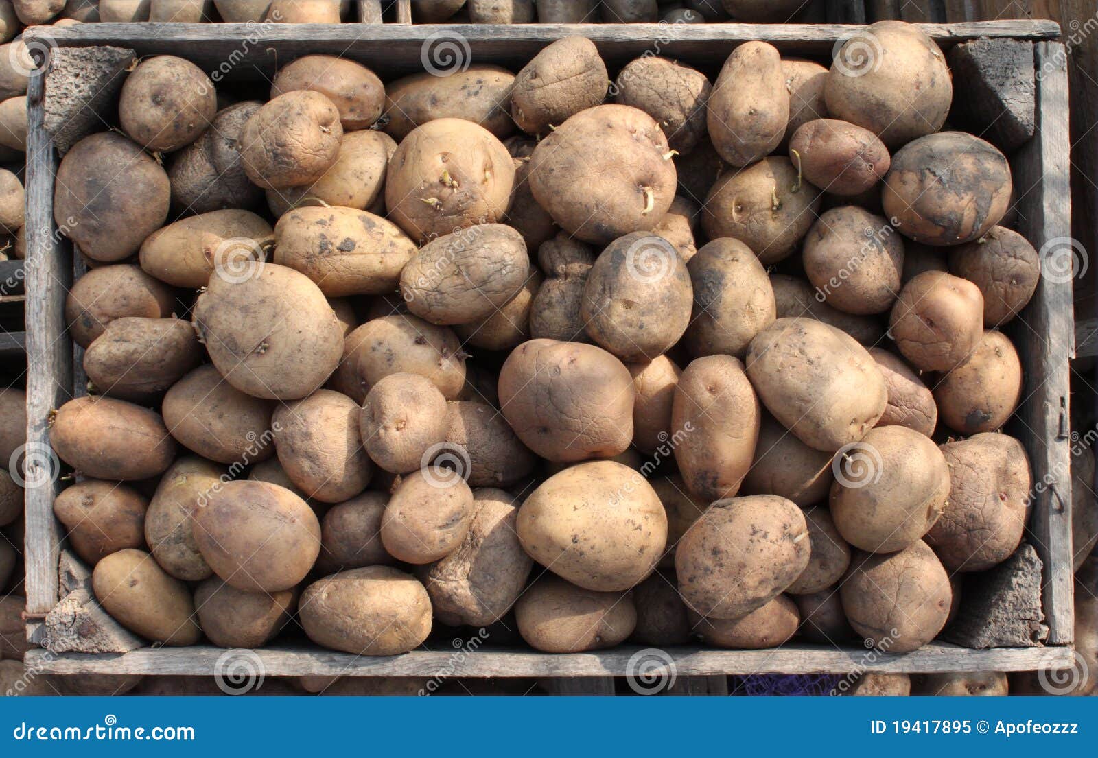 Wooden box of potatoes stock image. Image of agricultural - 19417895