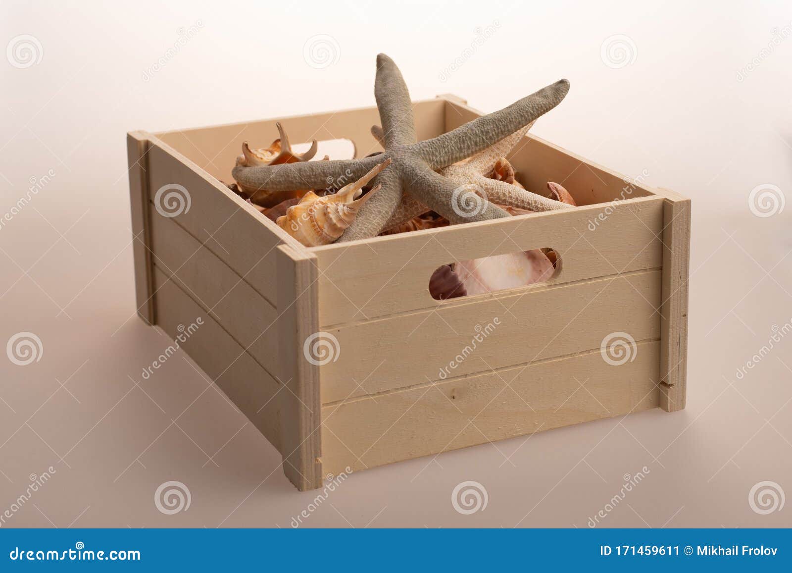 Wooden Box with Shells on a White Background. Sea Treasures in a Box ...
