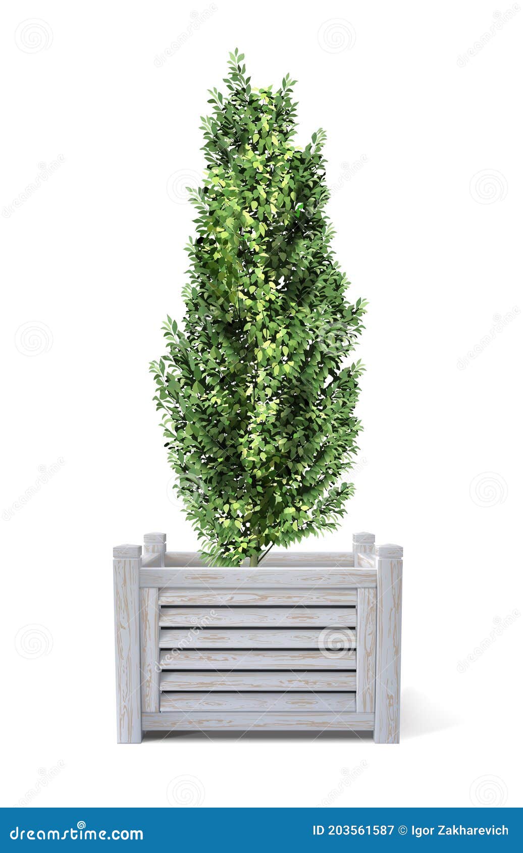 Wooden Box with a Small Tree. Stock Vector - Illustration of mockup ...