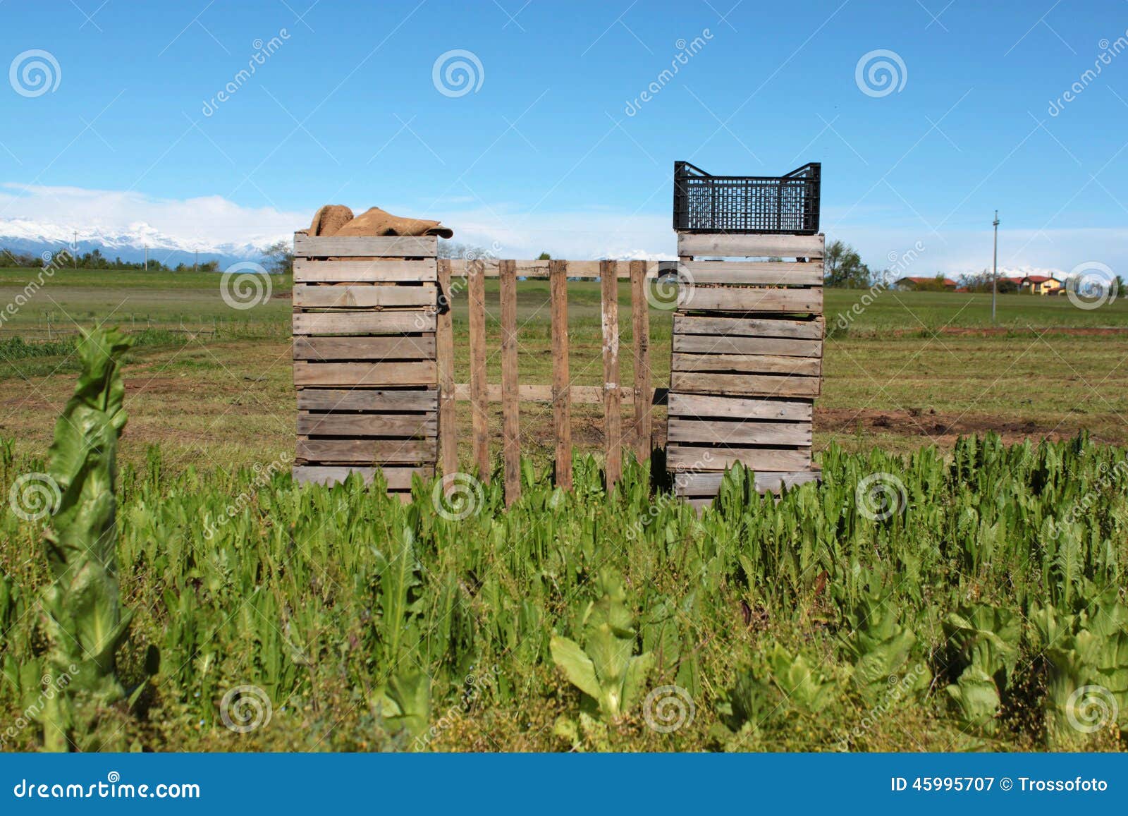 Wooden boxes stock image. Image of cloud, environment - 45995707
