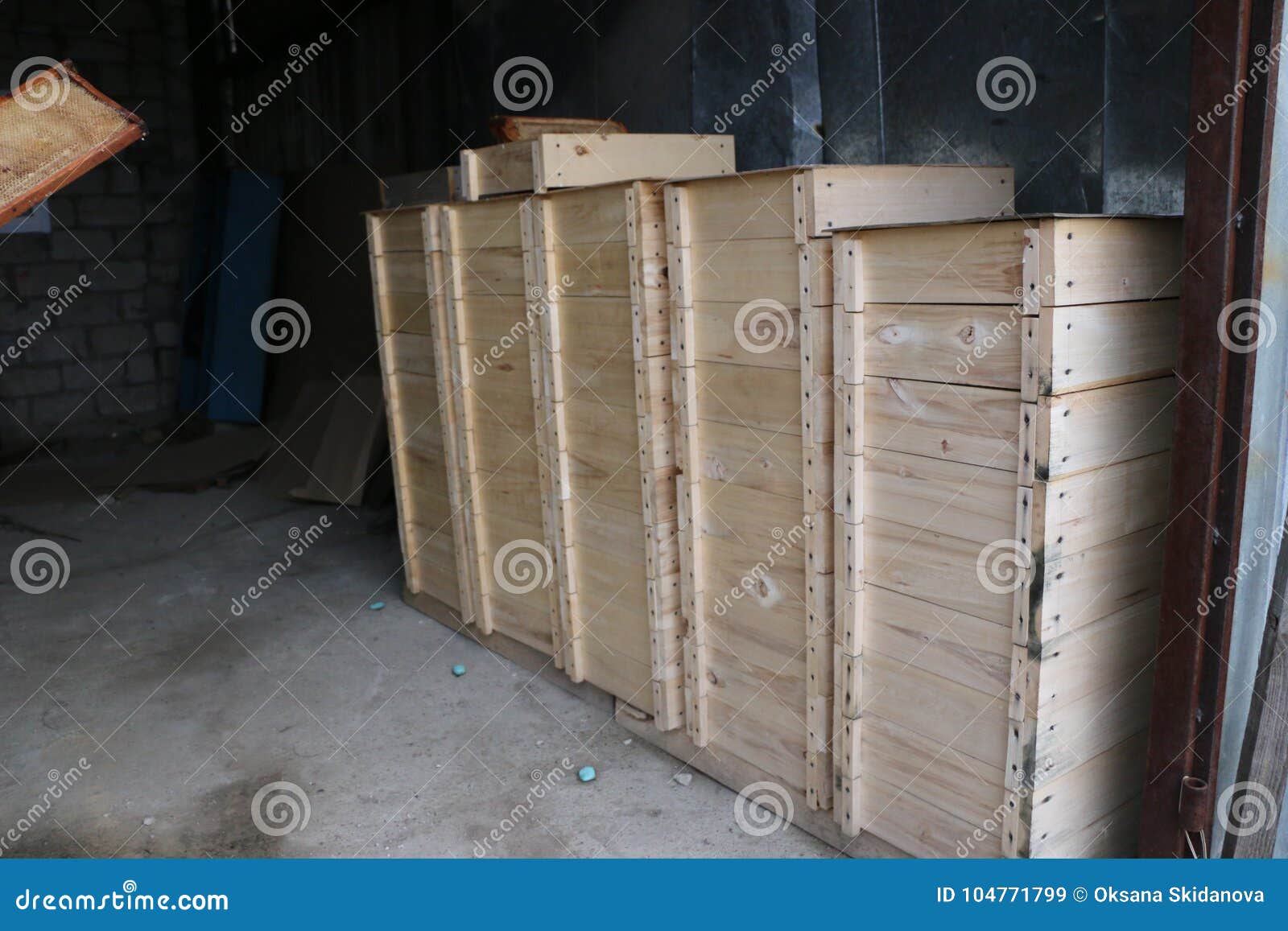 Wooden Boxes for Internal Bee Hives on a Large Apiary Stock Image ...
