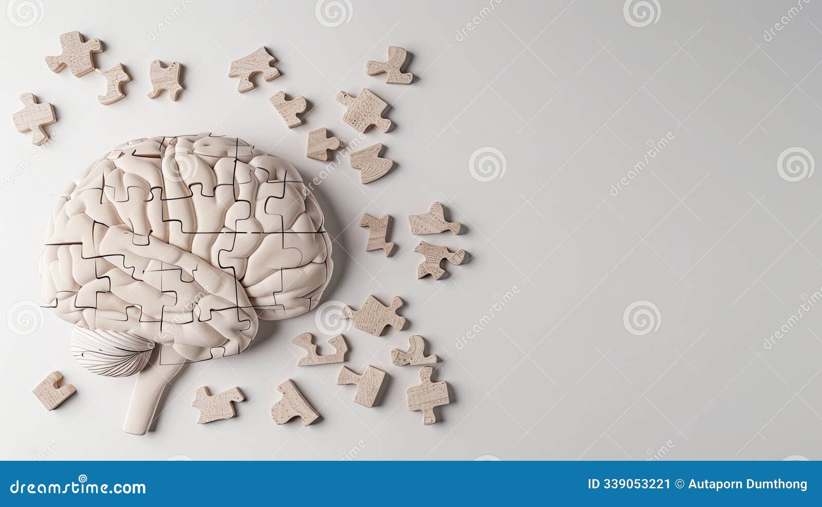 A Wooden Brain Puzzle on a White Background with Scattered Pieces ...