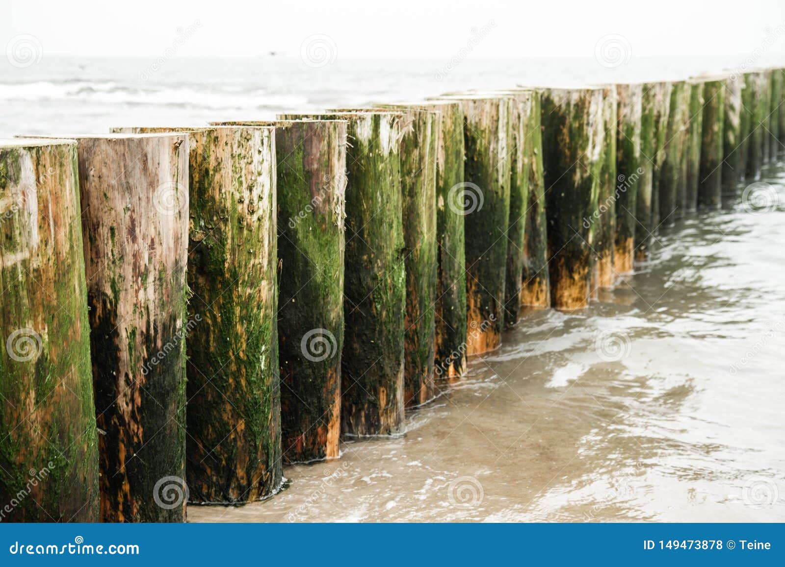 Wooden Breakwaters stock photo. Image of breakwater - 149473878