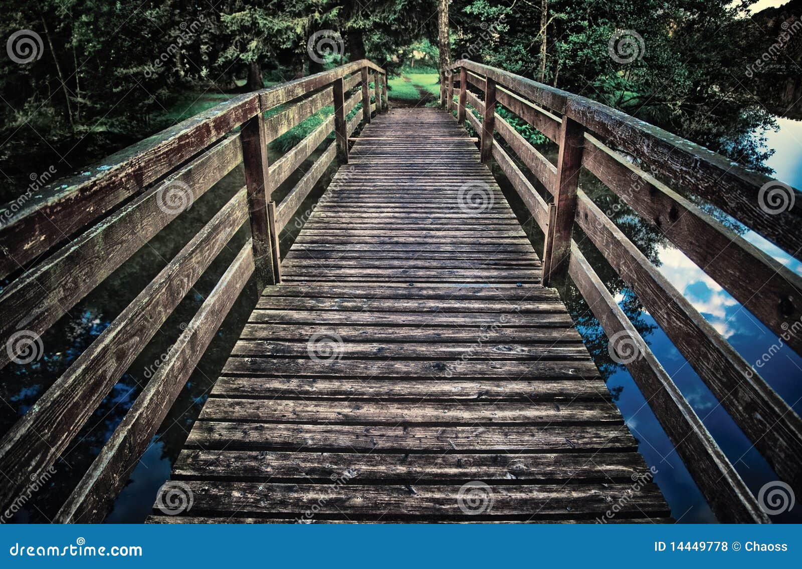 Wooden bridge stock photo. Image of nature, forest, summer - 14449778