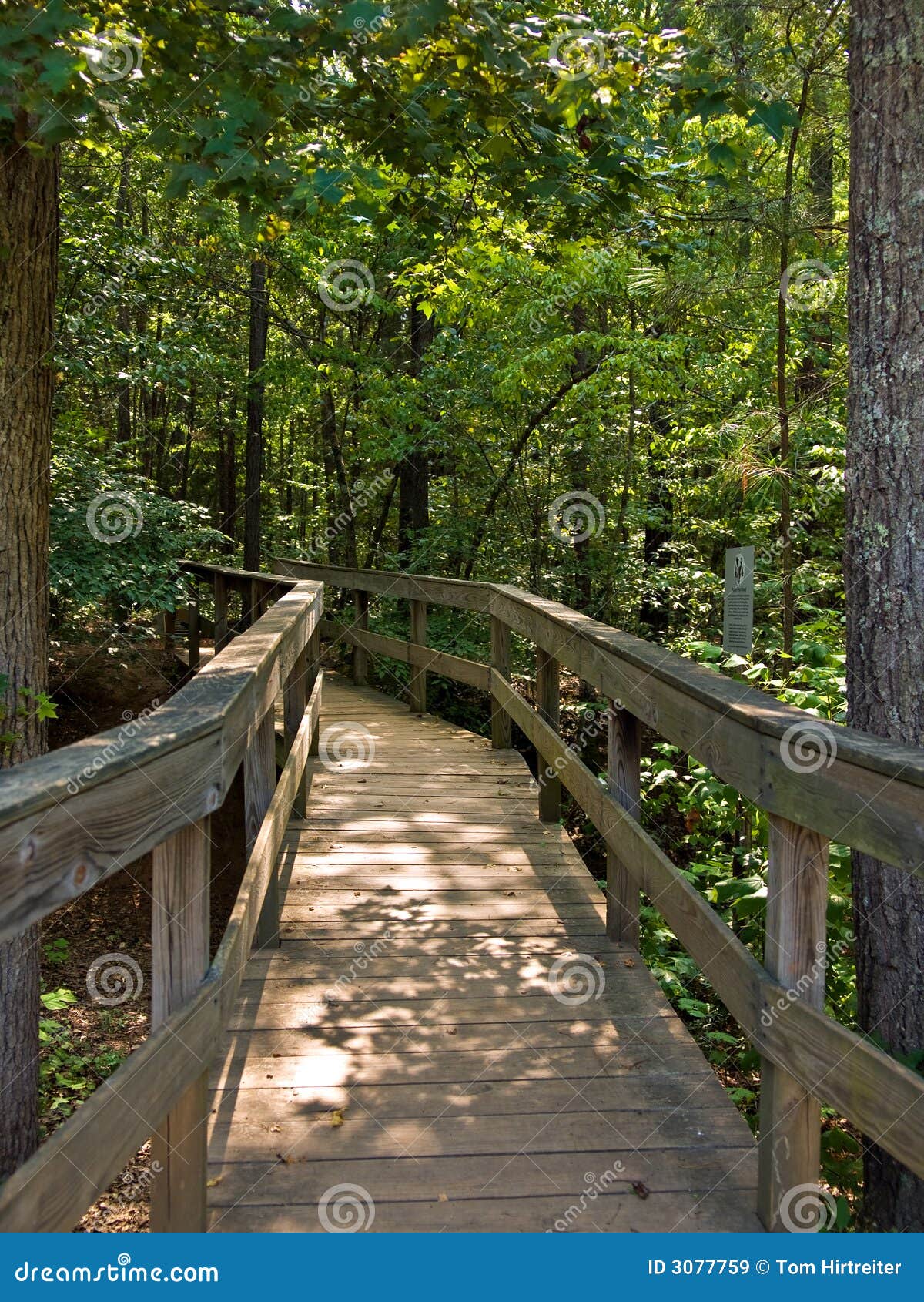 Wooden Bridge stock image. Image of trees, leaves, trails - 3077759