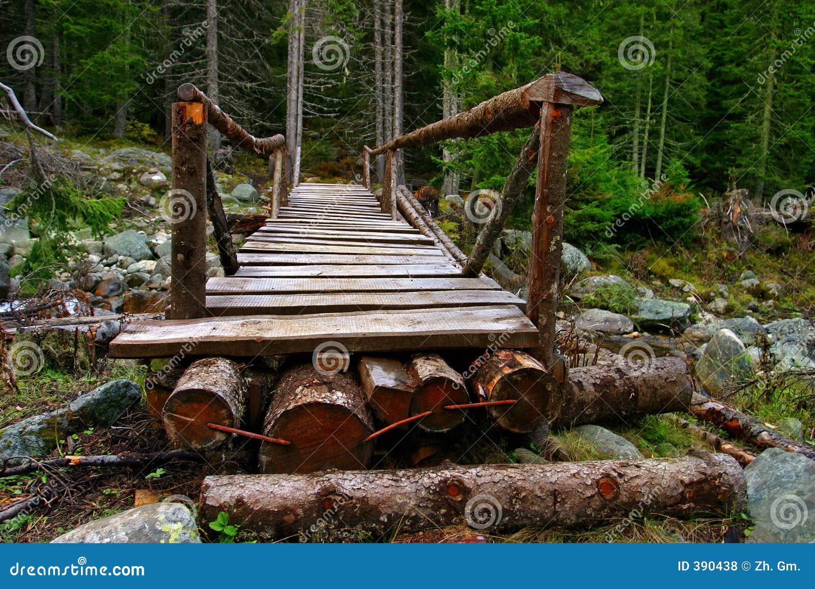 A wooden bridge stock photo. Image of conifer, beam, adventure - 390438