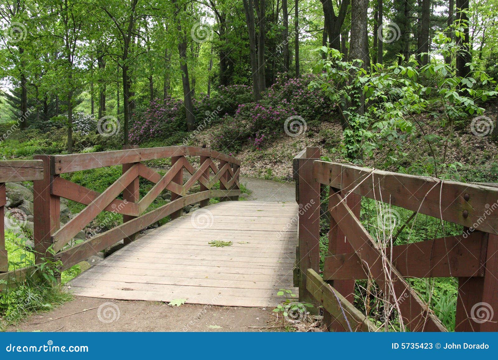 Wooden bridge stock image. Image of wooden, green, hike - 5735423
