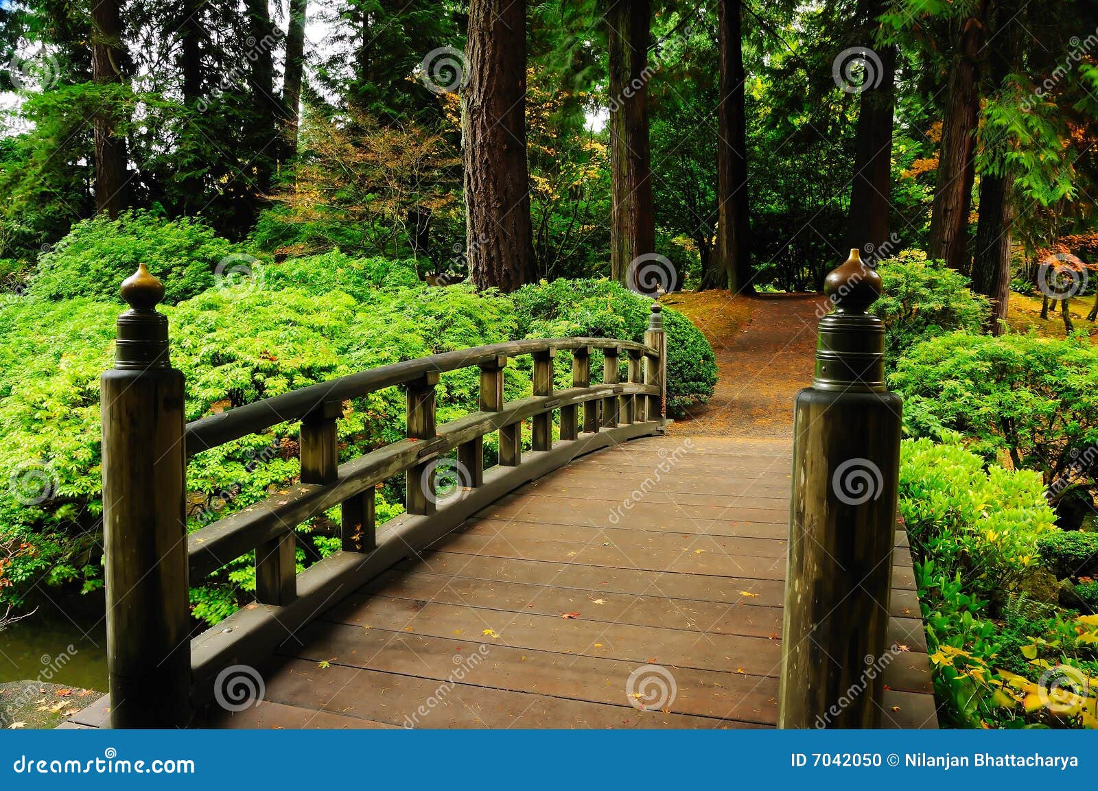 Wooden bridge stock photo. Image of park, water, bridge - 7042050