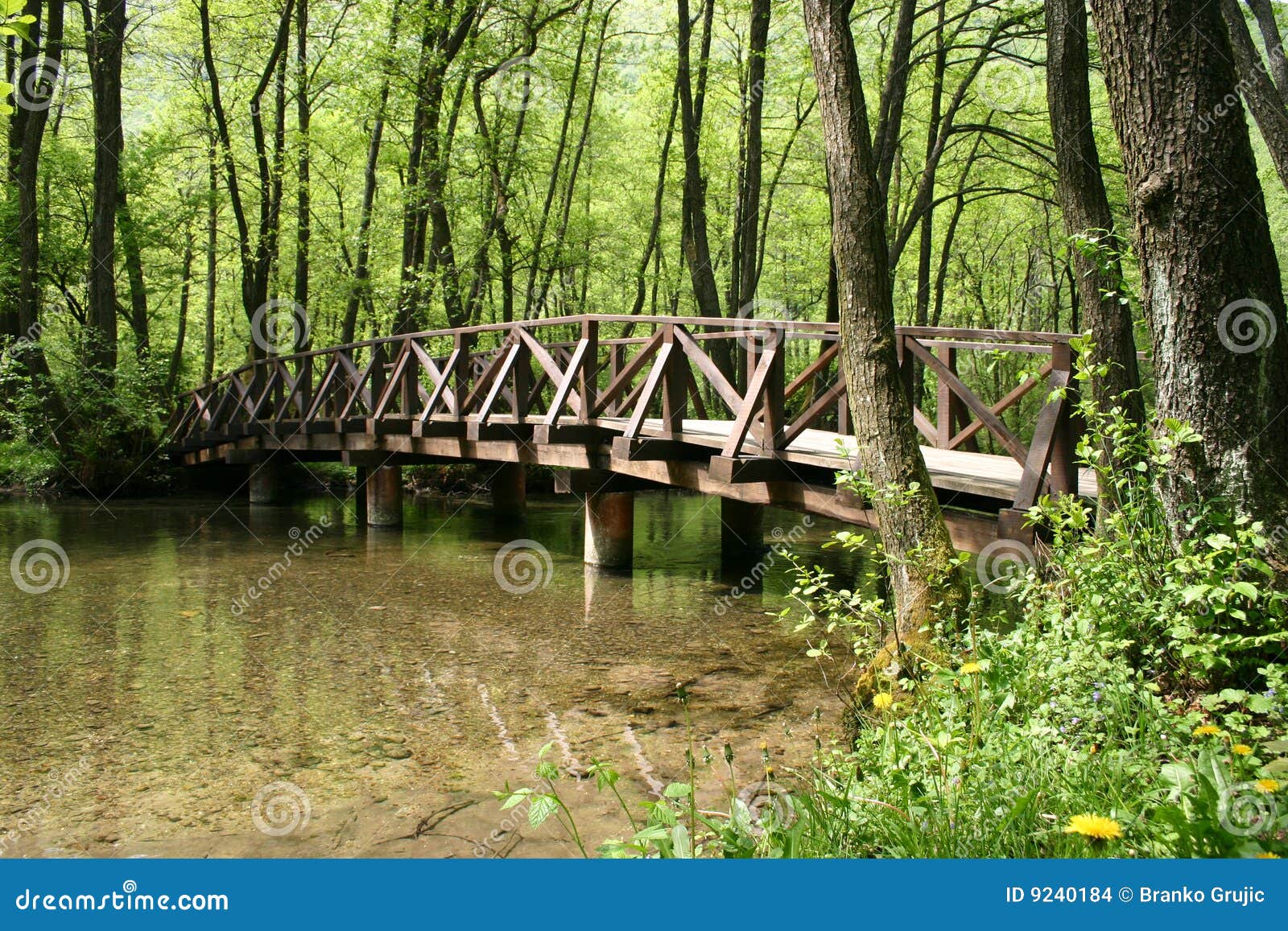 Wooden Bridge Footbridge Walkway Pathway Along Flower Field Royalty ...