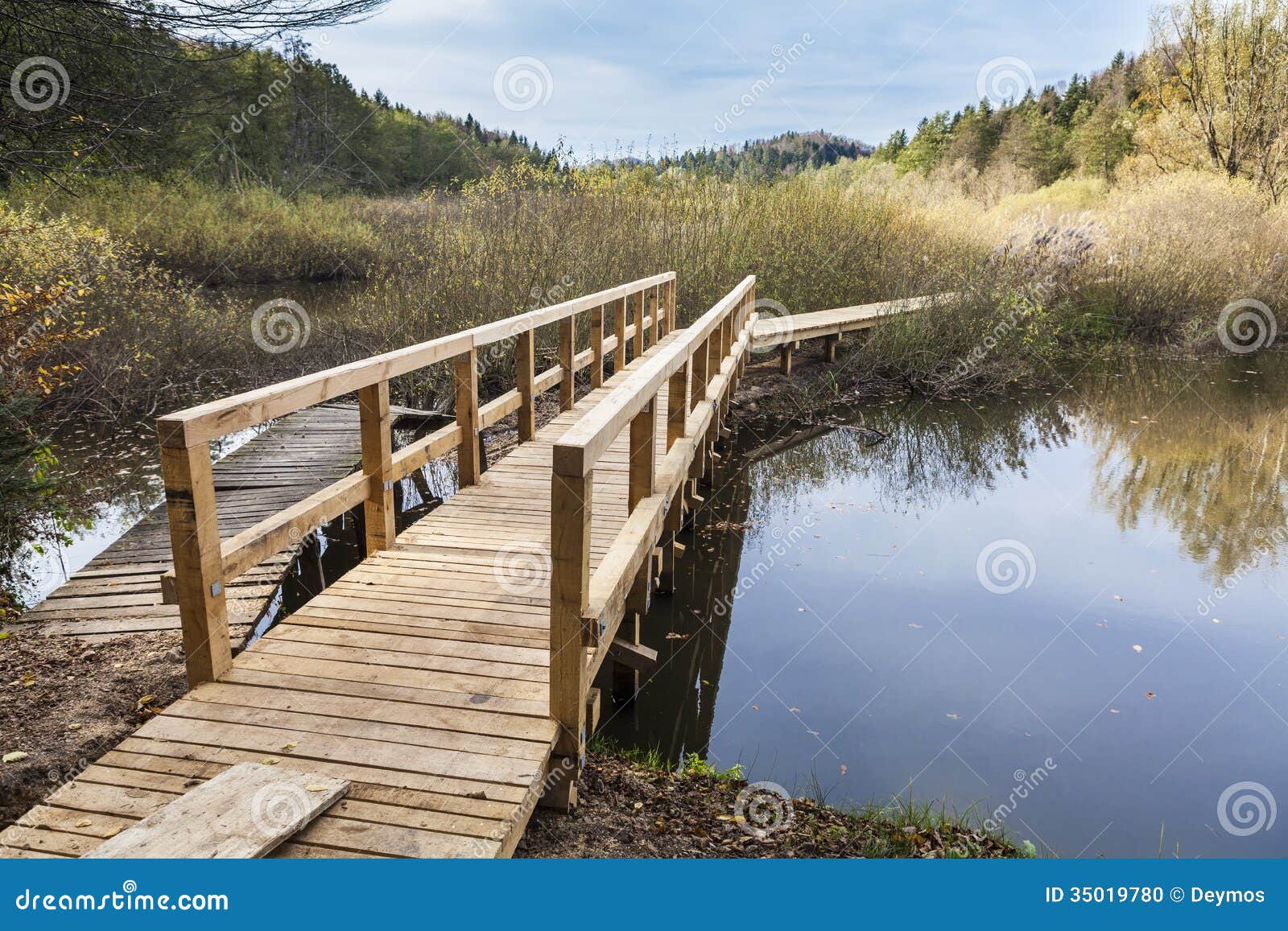 Wooden Bridge Across the Lake Stock Photo - Image of horizontal, lush ...