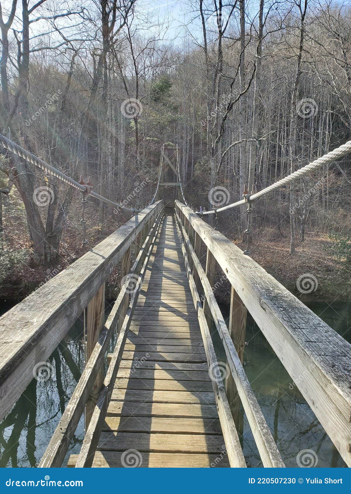 Wooden Bridge Across the River Stock Photo - Image of overpass, tree ...