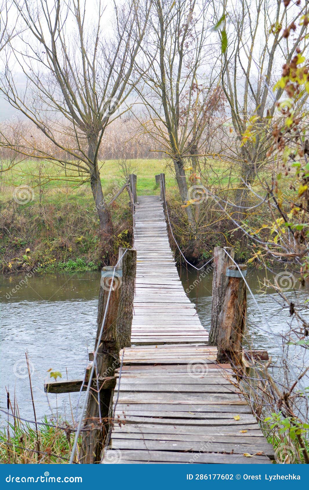 Wooden Bridge Across the River Stock Photo - Image of natural ...