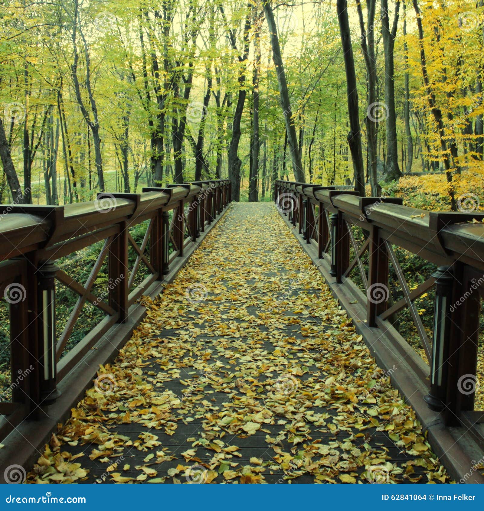 Wooden Bridge in the Autumn Forest Stock Photo - Image of colorful ...