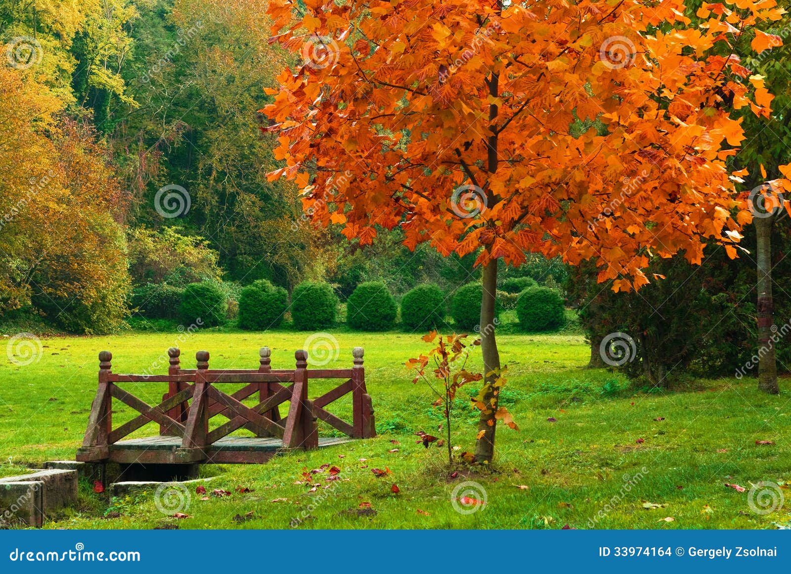 Wooden Bridge in the Autumn Park Stock Photo - Image of golden, outdoor ...