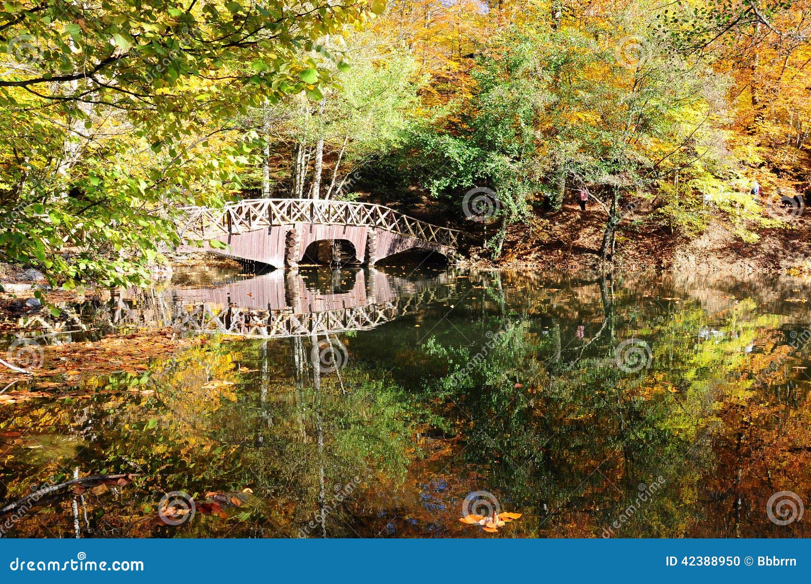 Wooden Bridge and Autumn Trees on Lake Stock Photo - Image of ...