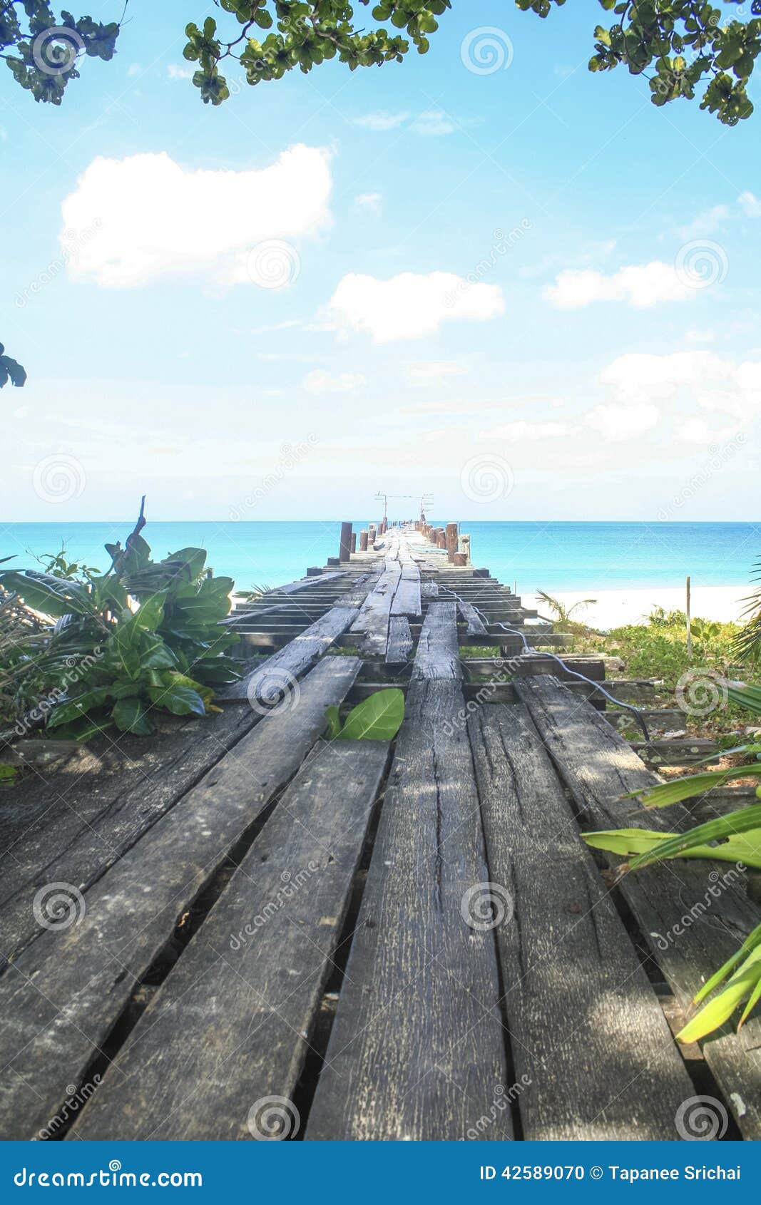 Wooden bridge on beach stock photo. Image of wooden, thailand - 42589070