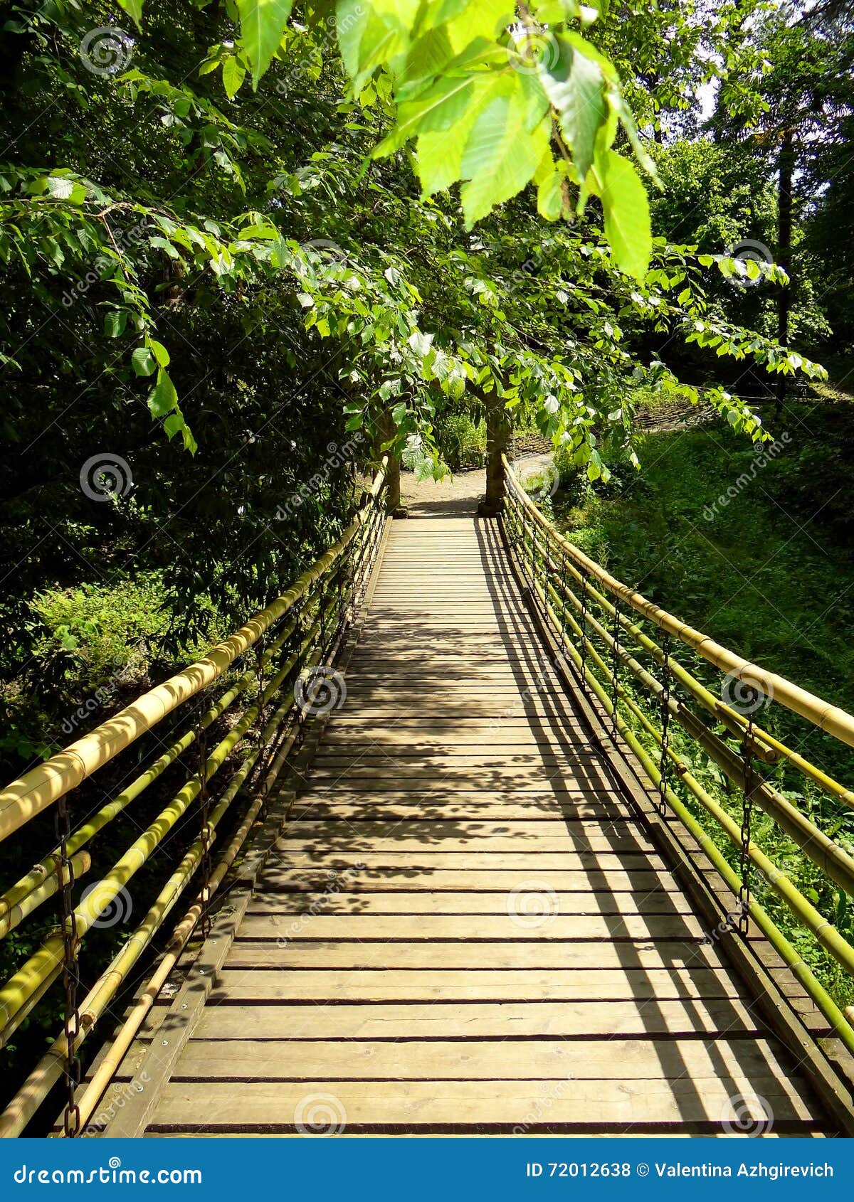 Wooden bridge stock photo. Image of branch, trees, brown - 72012638