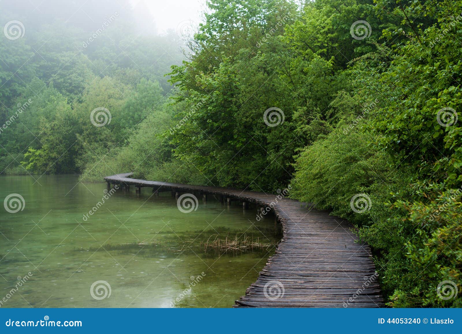 Wooden Bridge stock photo. Image of road, beautiful, tree - 44053240