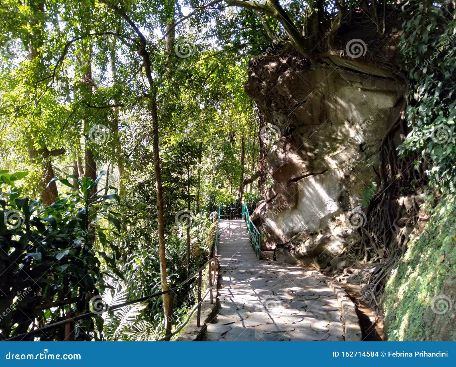 Wooden Bridge between Cliffs and Trees Stock Photo - Image of view ...