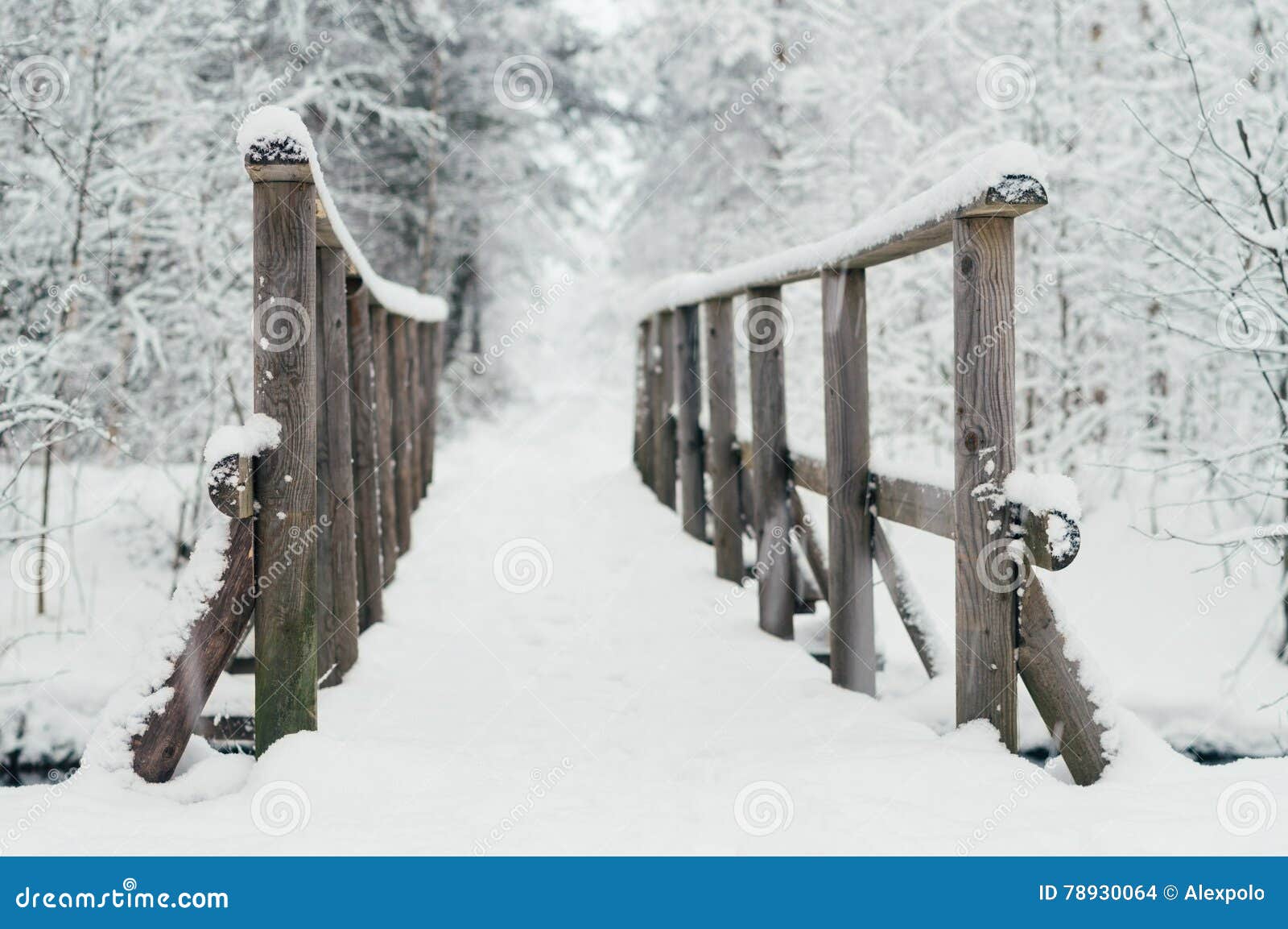 Wooden Bridge Covered by Snow Stock Photo - Image of frost, bright ...