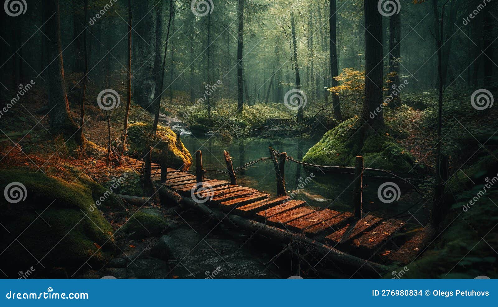 A Wooden Bridge Crosses a Stream in a Forest with Mossy Trees Stock ...