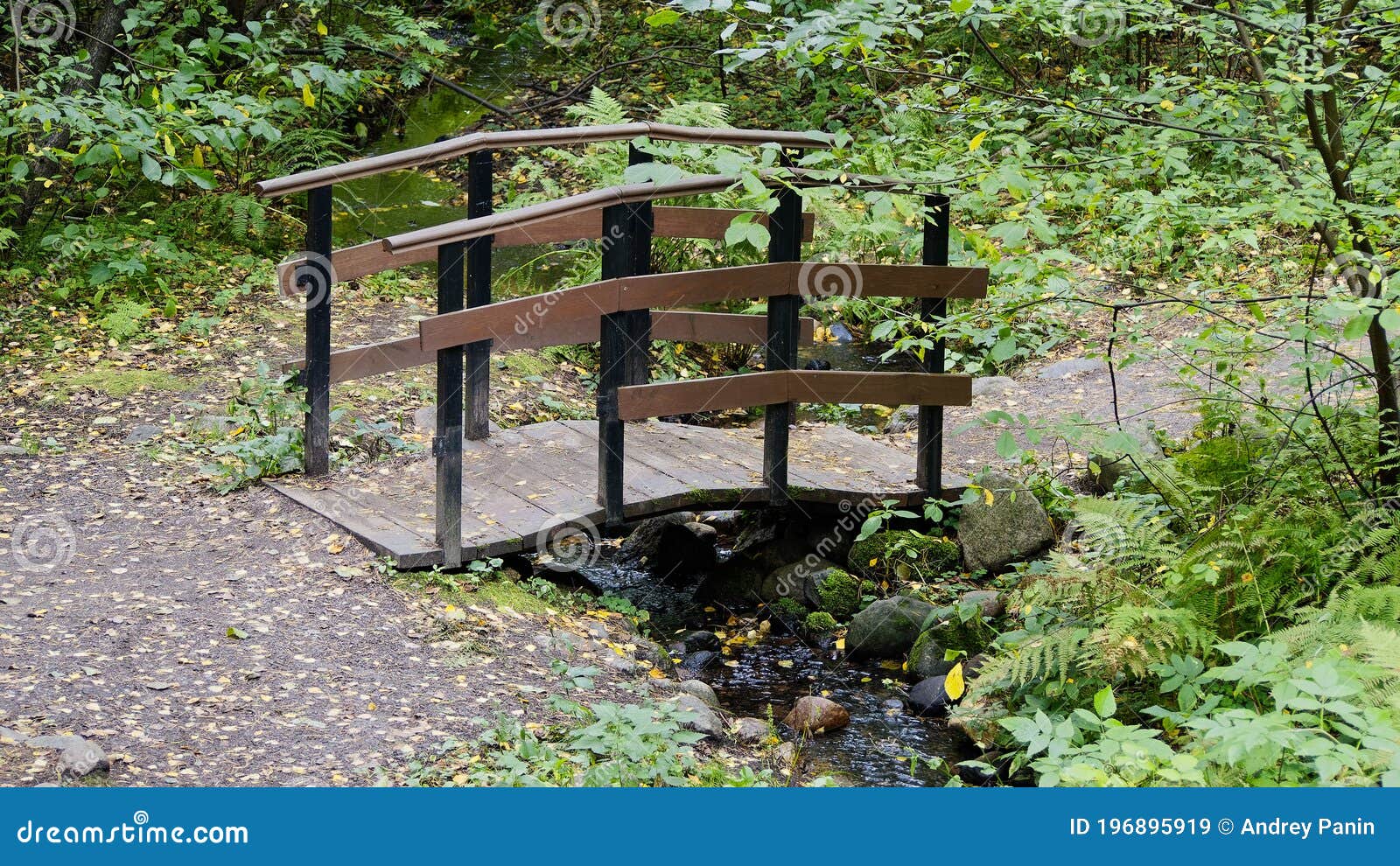 Wooden Bridge on an Ecological Path. Stock Image - Image of beautiful ...