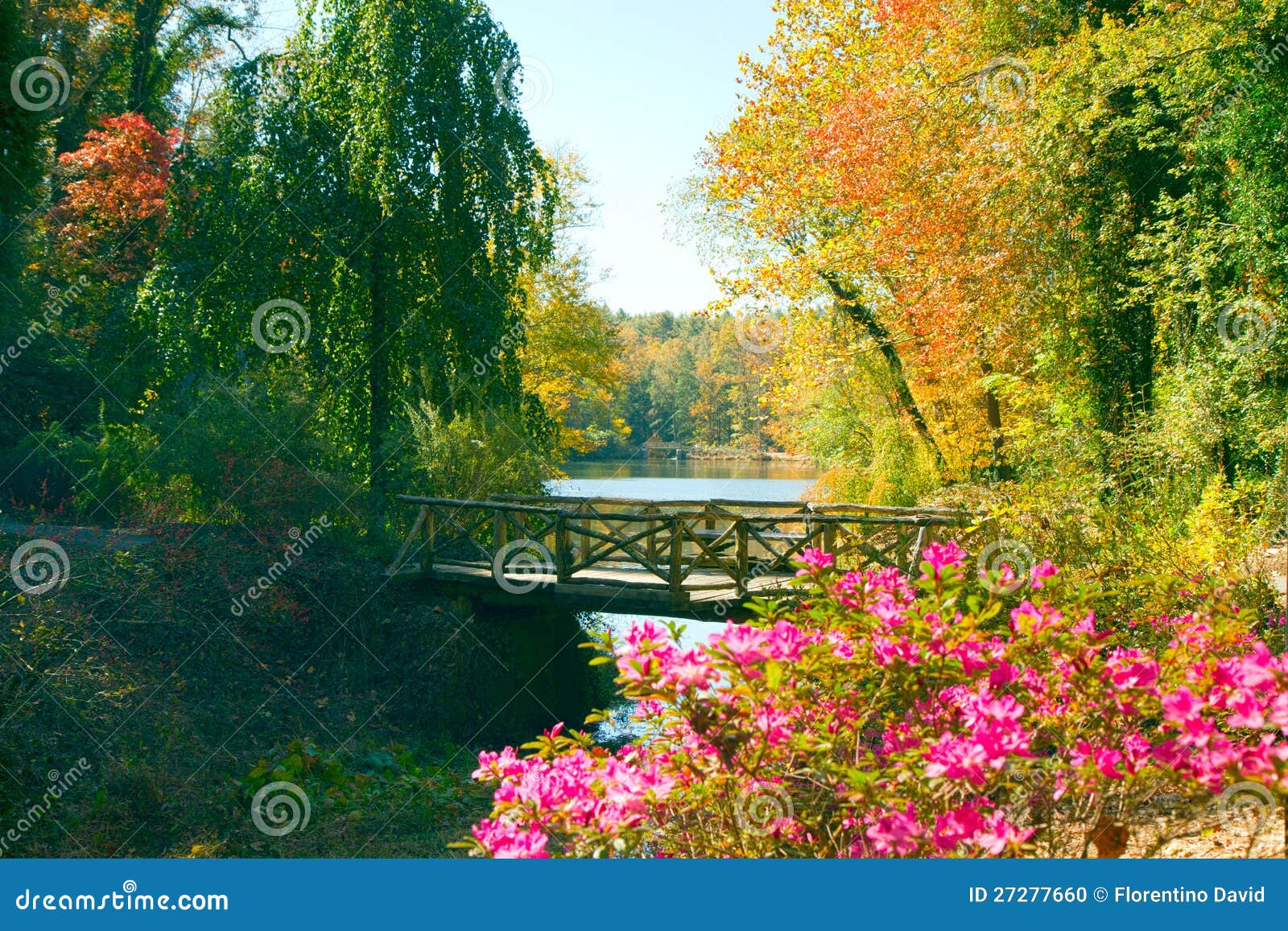 Wooden bridge in fall stock photo. Image of sunlit, colorful - 27277660