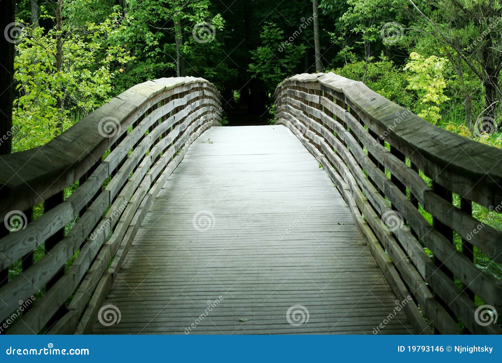 Wooden Bridge through the Forest Stock Photo - Image of outdoor ...