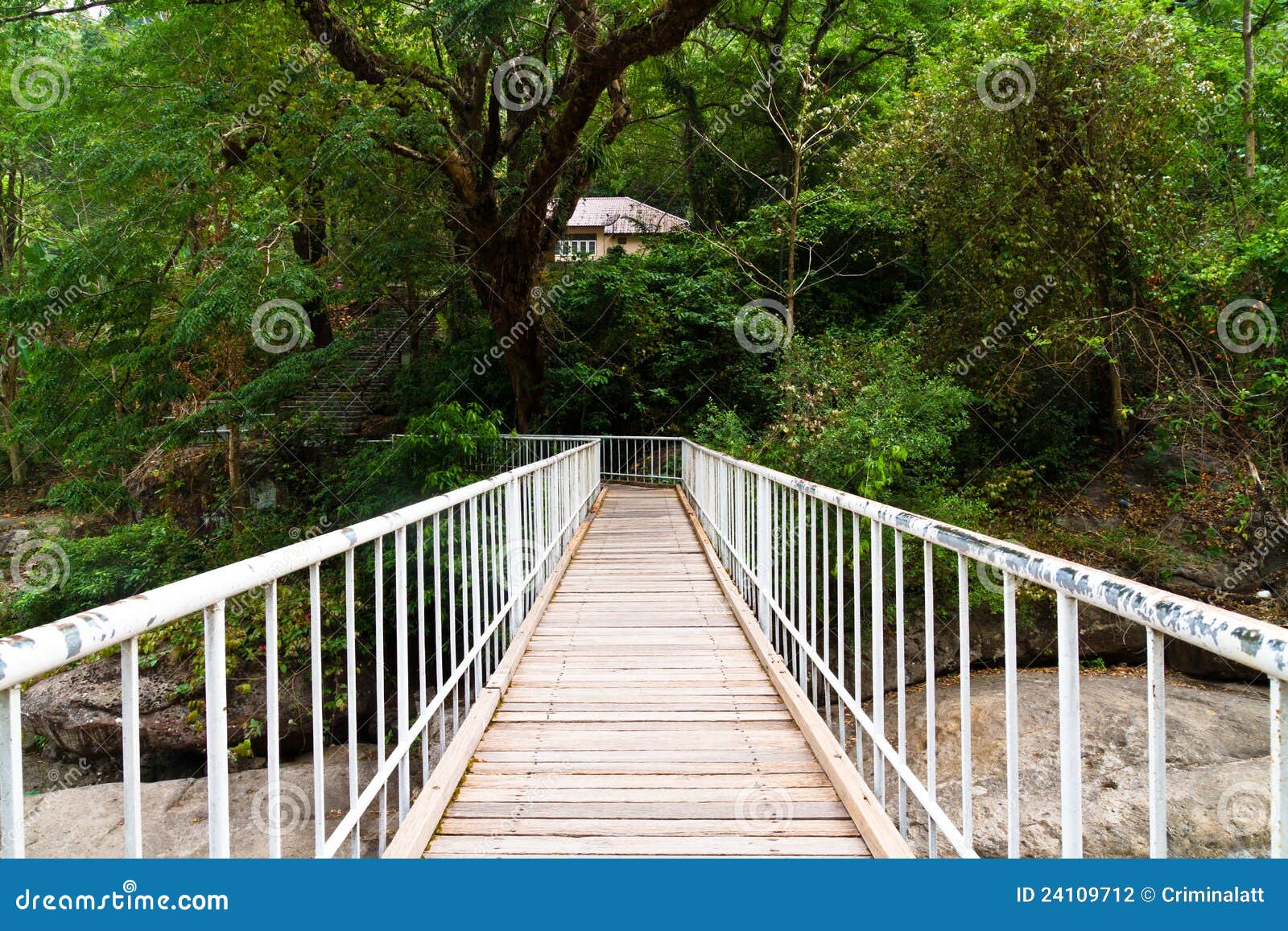 Wooden bridge in forest stock photo. Image of construction - 24109712