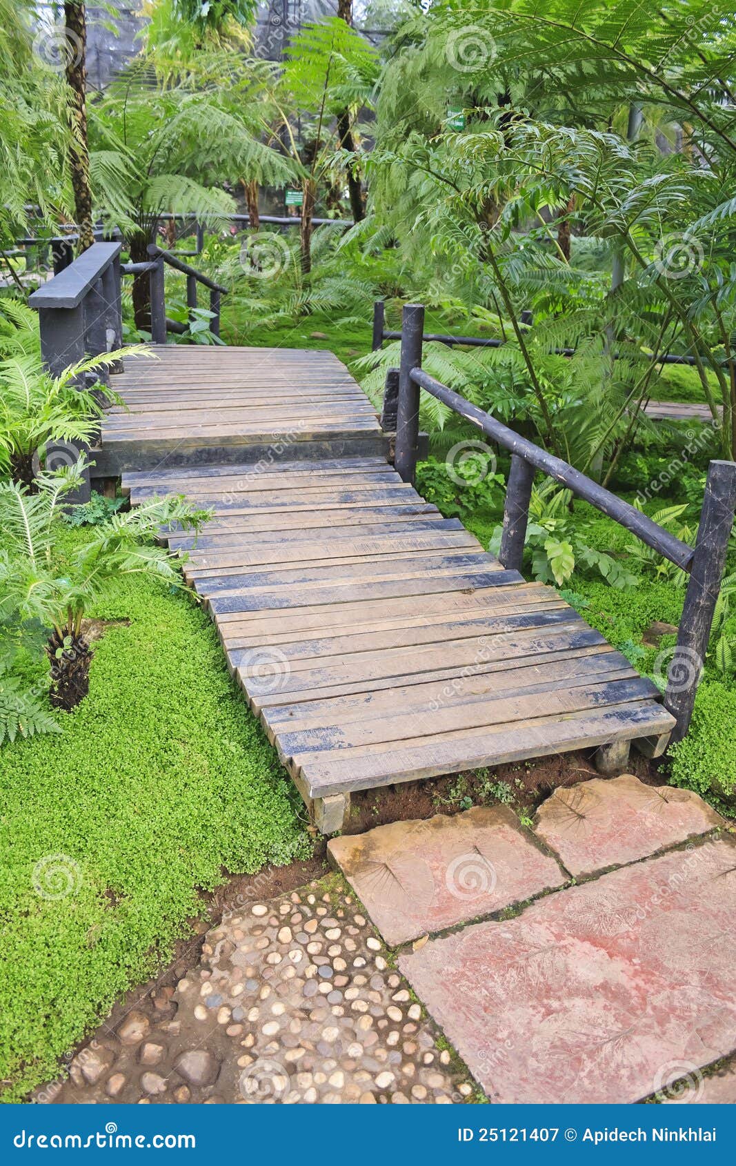 Wooden Bridge in the Forest Stock Image - Image of beautiful, branch ...