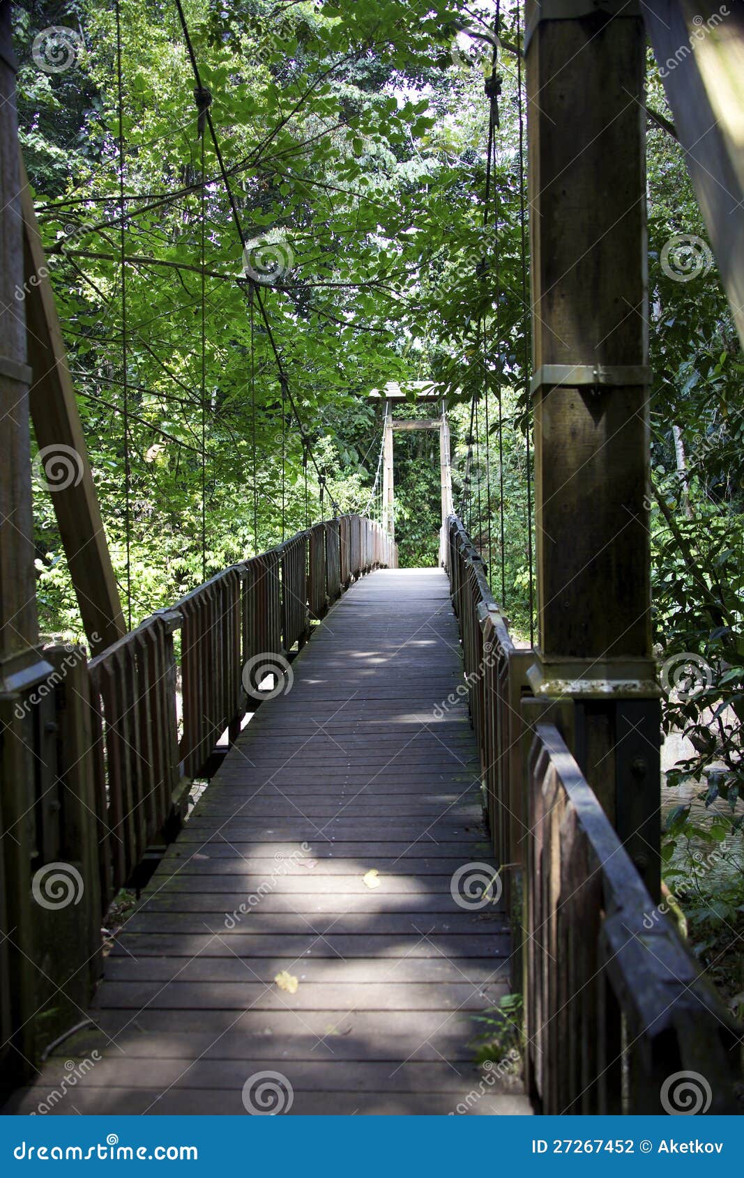 Wooden bridge in forest stock photo. Image of deserted - 27267452