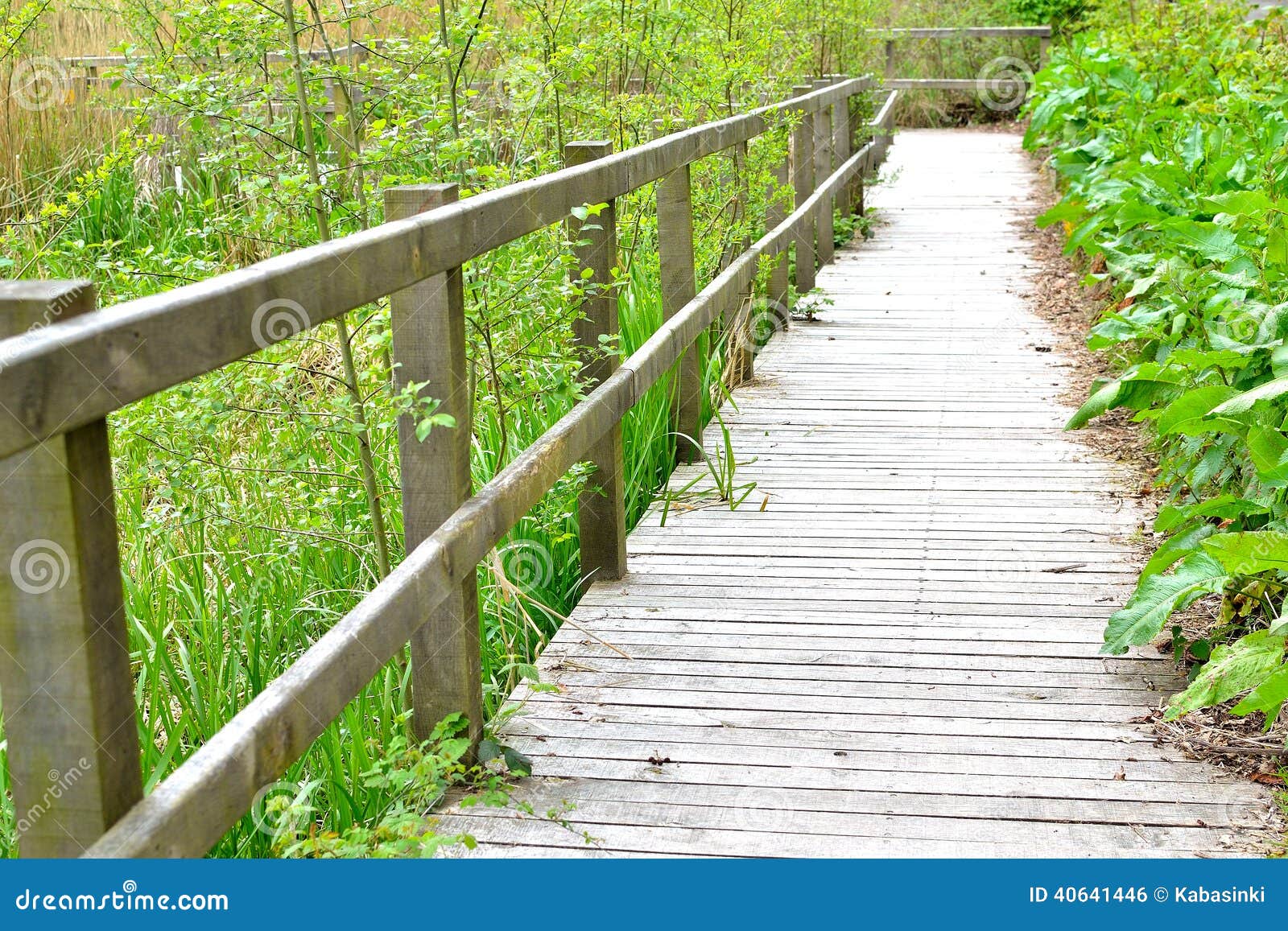 Wooden bridge stock photo. Image of tree, shrubs, forest - 40641446