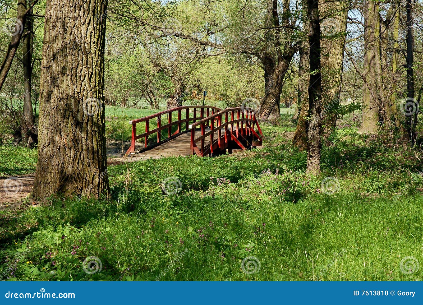 Wooden Bridge in the Forest Stock Photo - Image of spring, green: 7613810