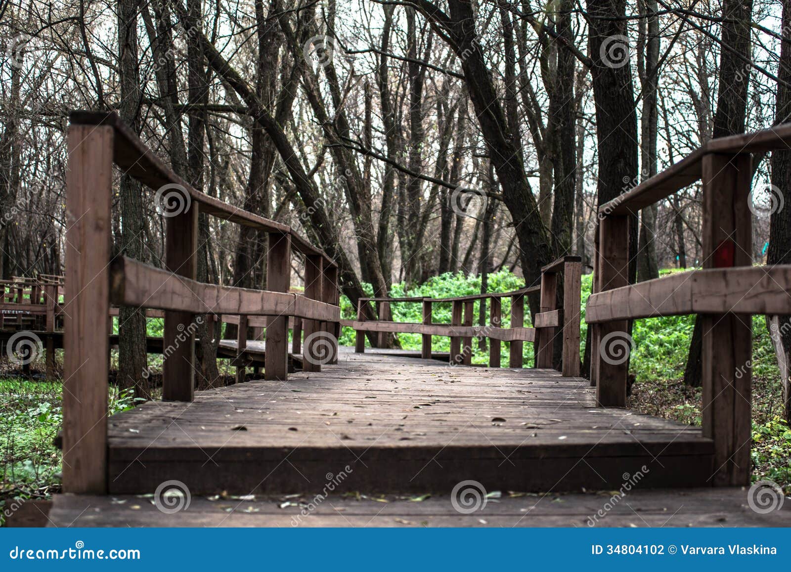 Wooden Bridge in the Forest Stock Photo - Image of autumn, glare: 34804102