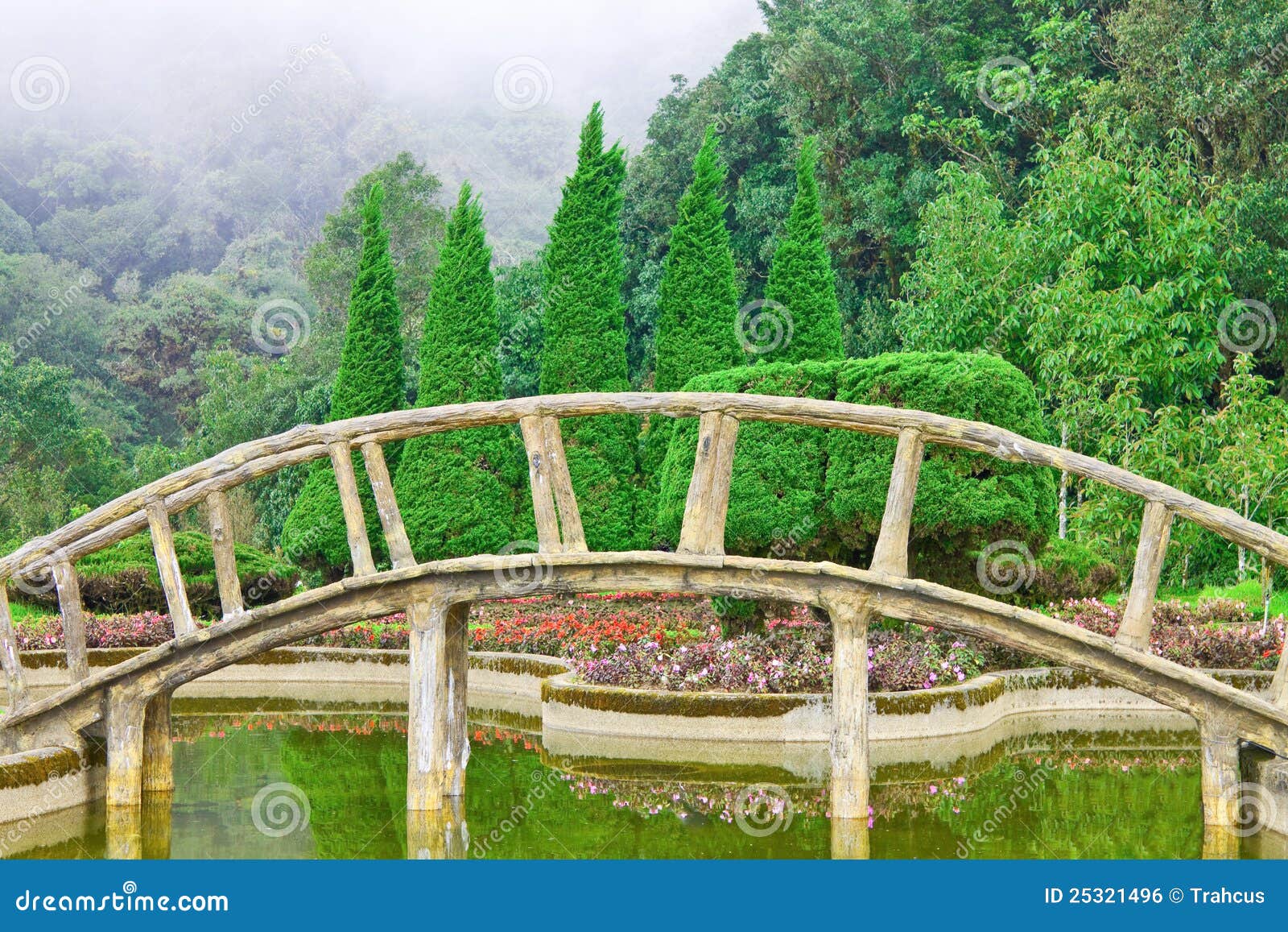 Wooden Bridge and Forest Background Stock Photo - Image of wilderness ...