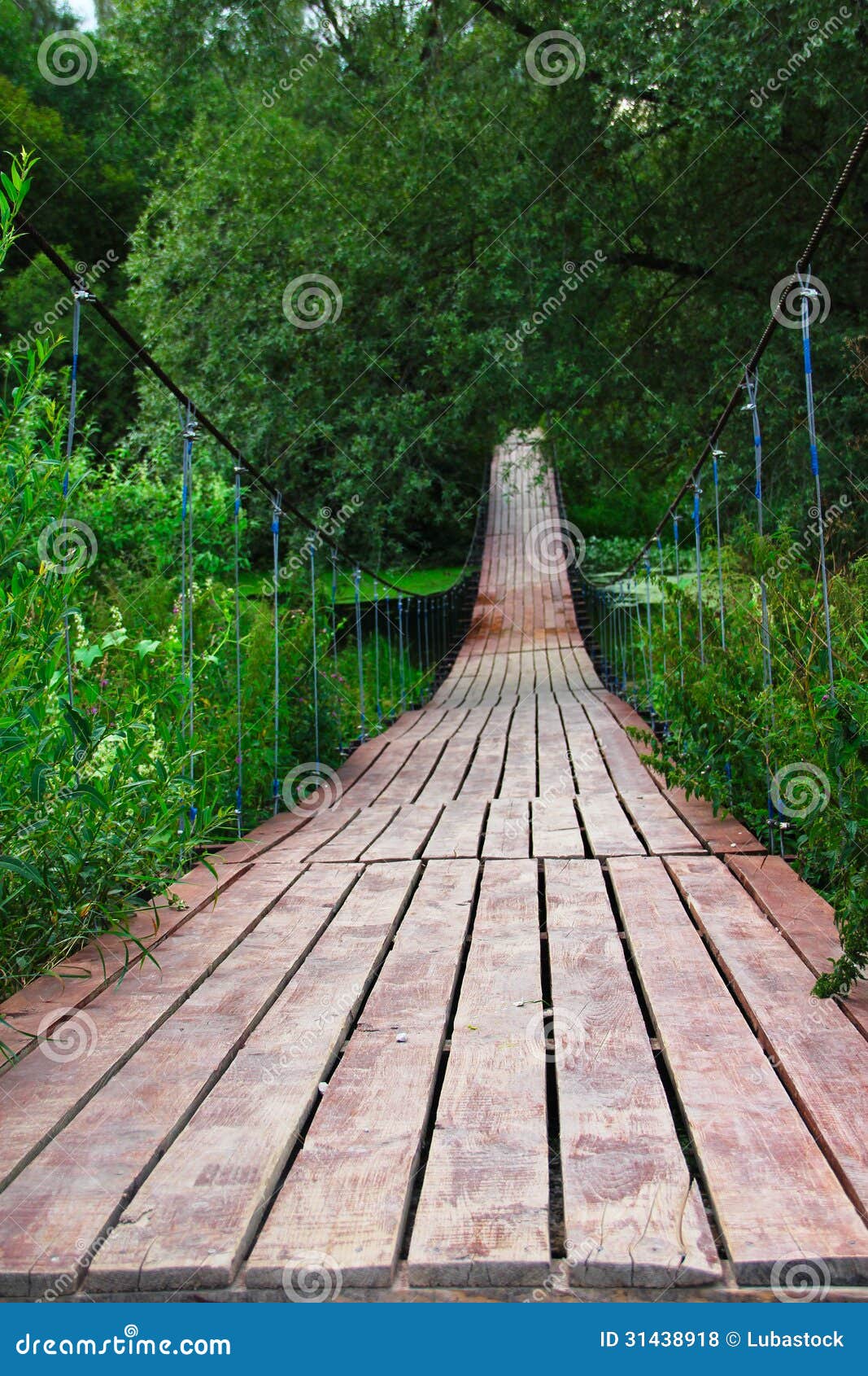 Wooden bridge in forest stock photo. Image of leaves - 31438918