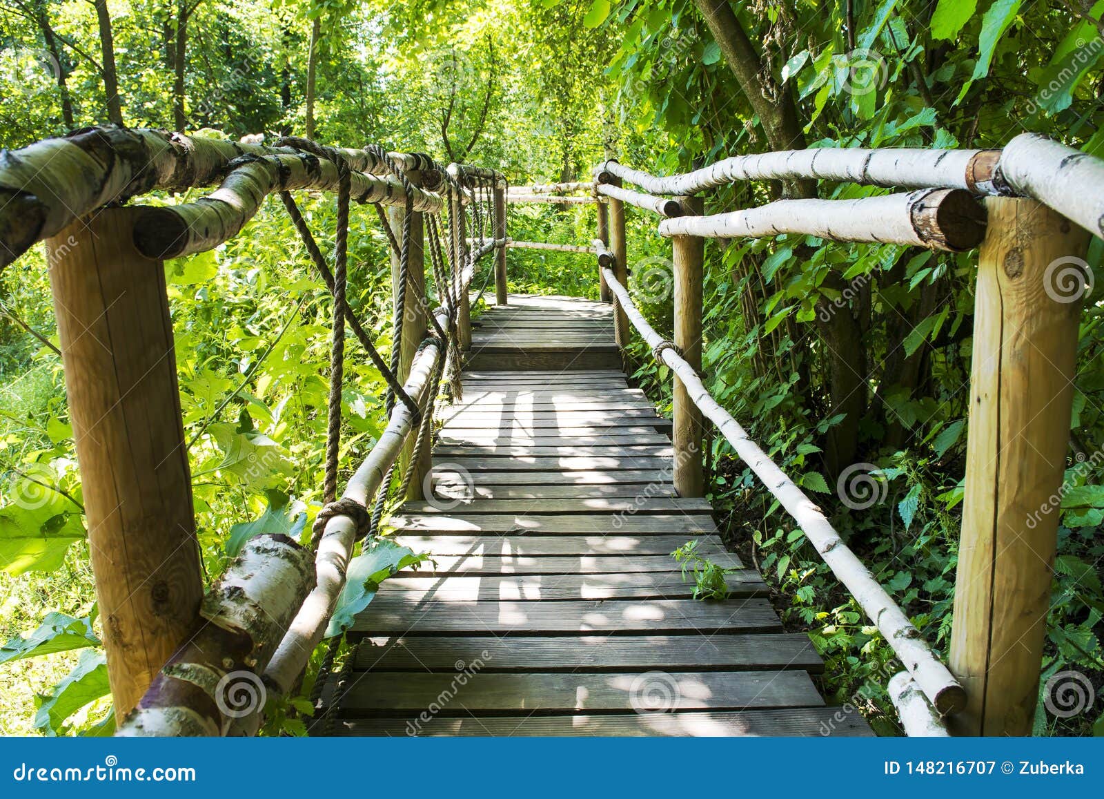 Wooden Bridge in Forest stock image. Image of lead, nature - 148216707