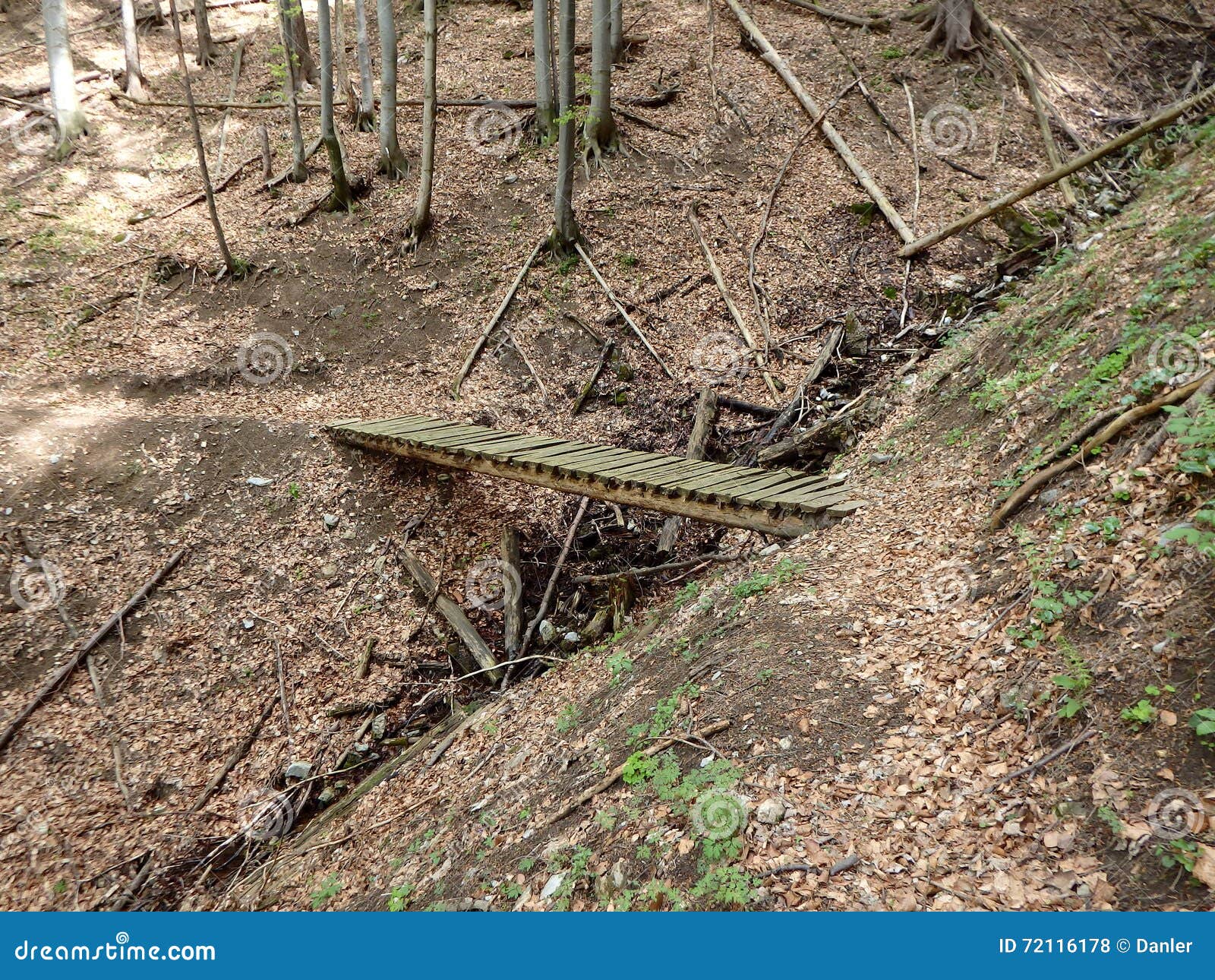 Wooden Bridge on a Forest Road Stock Photo - Image of gateway, wood ...
