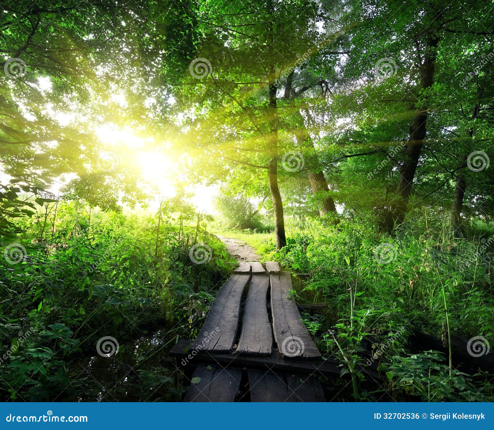 Wooden Bridge in the Forest Stock Photo - Image of evening, creek: 32702536