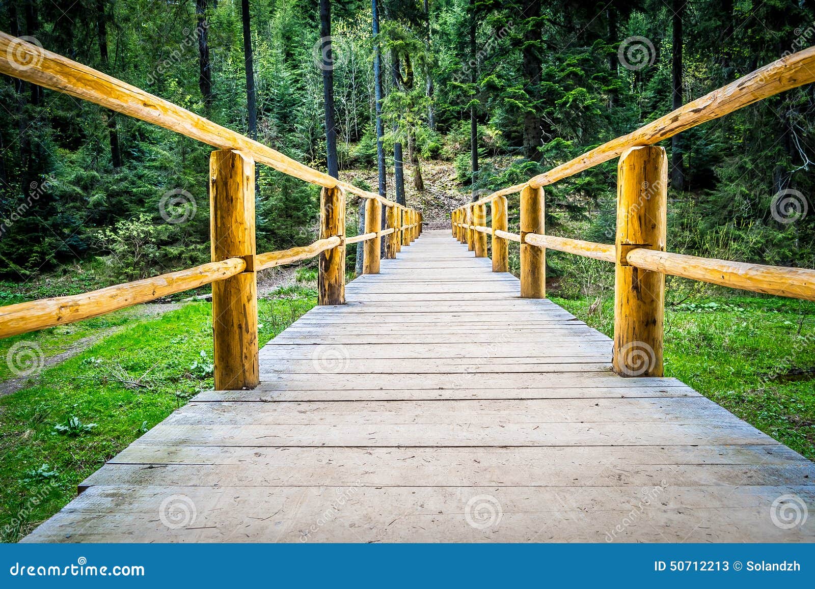 Wooden bridge in forest stock image. Image of deep, footpath - 50712213