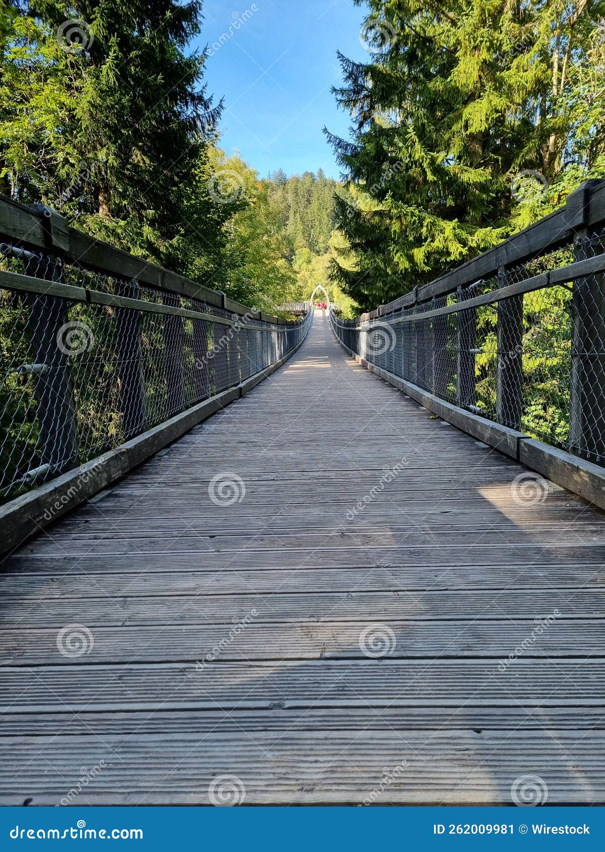 Wooden Bridge Going through the Forest Stock Image - Image of green ...