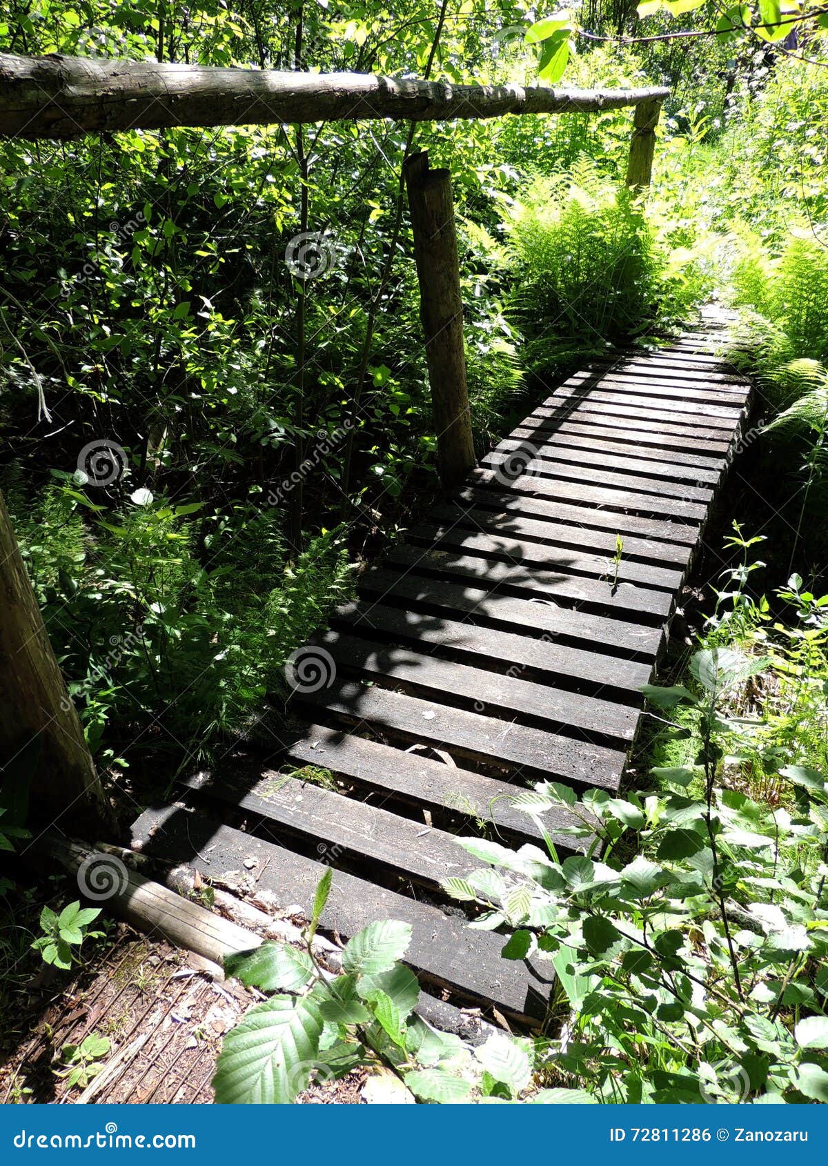 Wooden Bridge with Handrail Stock Photo - Image of wooden, summer: 72811286