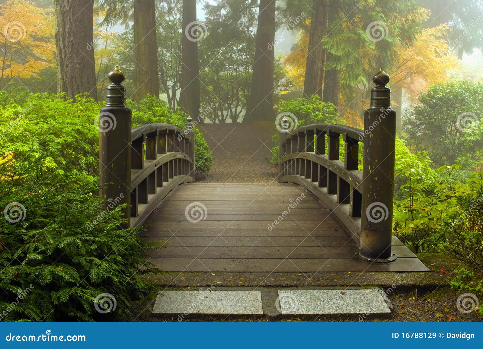 Wooden Bridge at Japanese Garden in Fall Stock Image - Image of creek ...