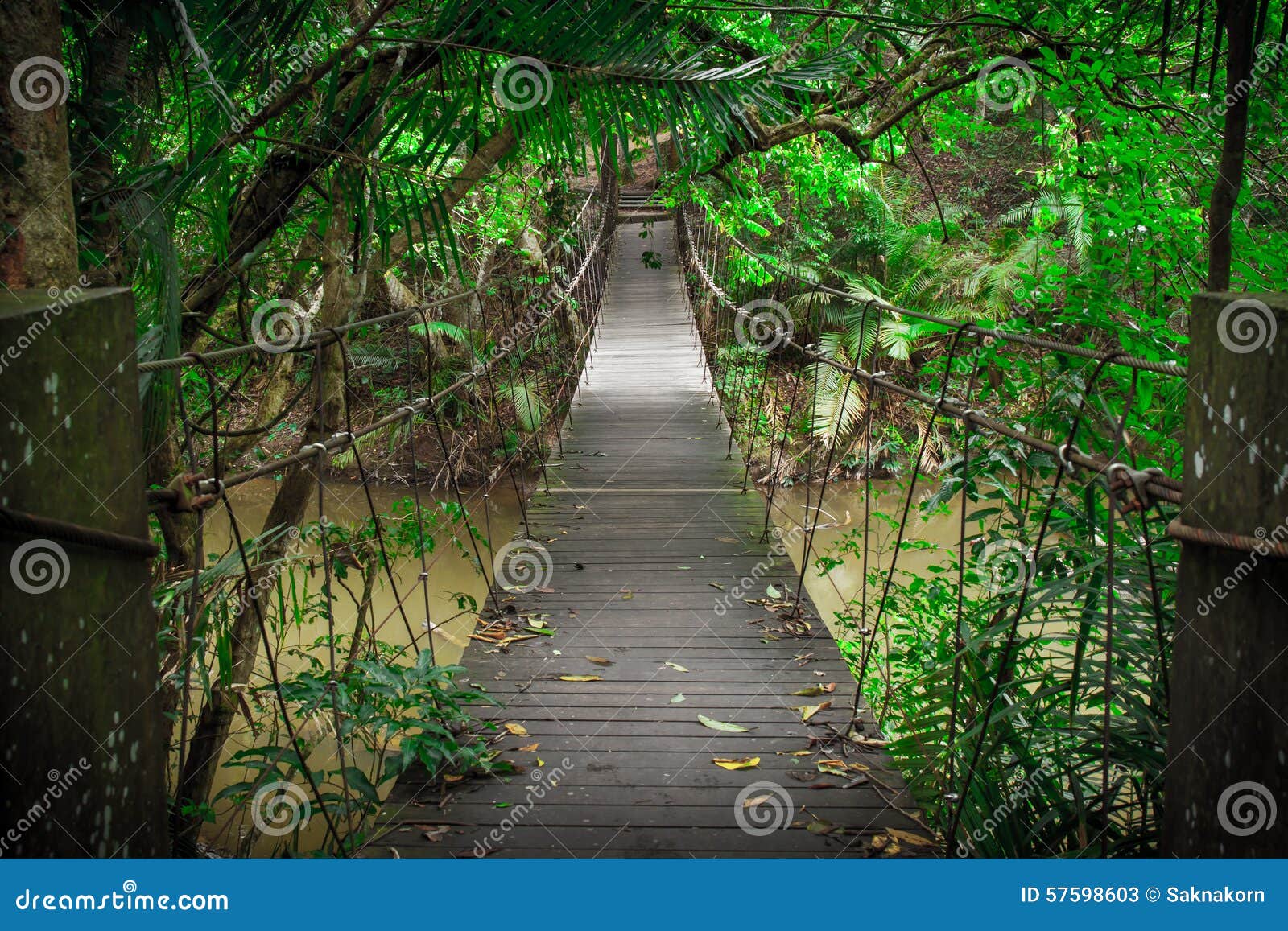 Wooden bridge in jungle stock image. Image of link, footpath - 57598603