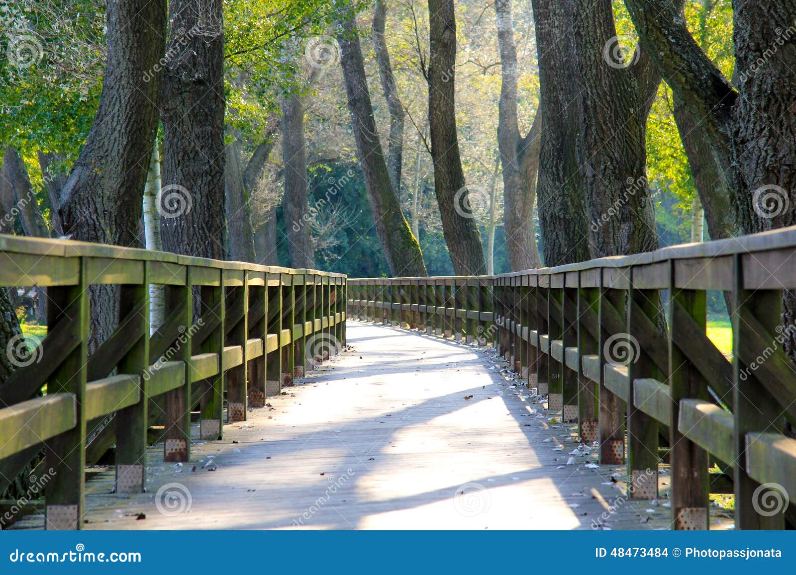 Wooden bridge landscape stock photo. Image of walk, green - 48473484