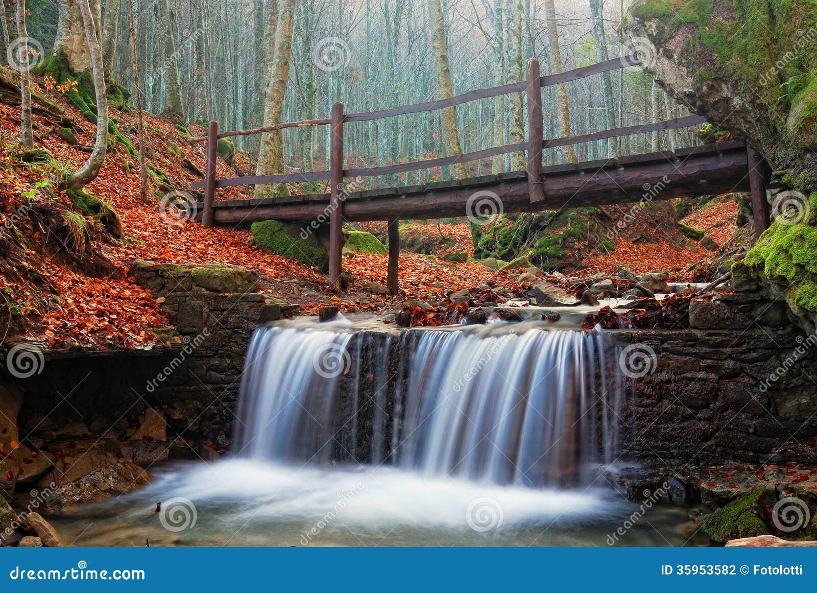 Wooden Bridge in the Natural Park Stock Photo - Image of wild, stream ...
