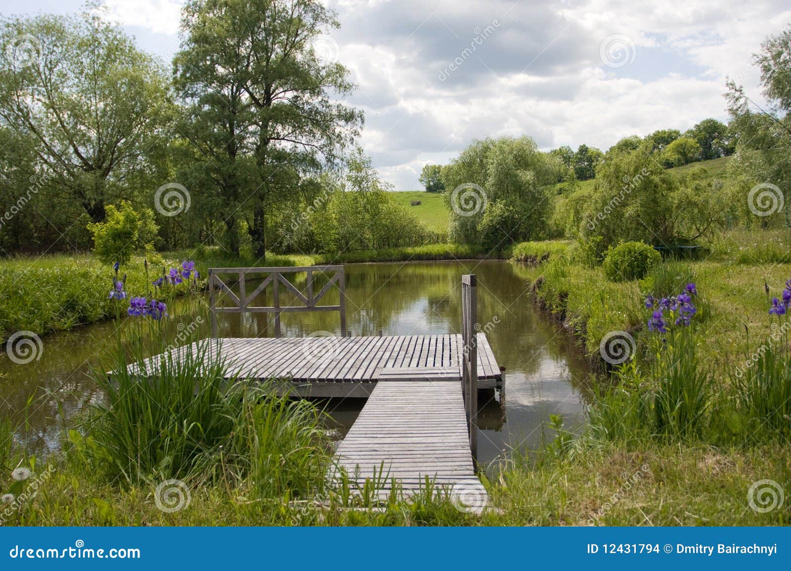 Wooden bridge and nature stock photo. Image of jetty - 12431794