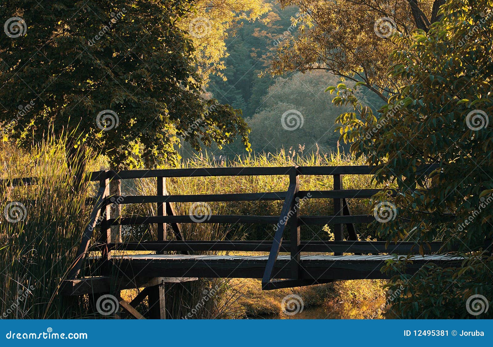 Wooden bridge in nature stock image. Image of bush, season - 12495381