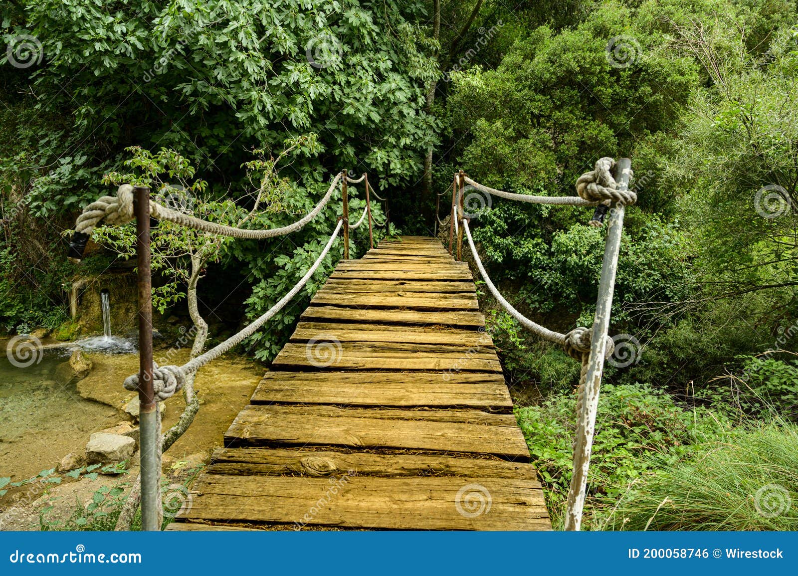 Wooden bridge in nature stock photo. Image of natural - 200058746